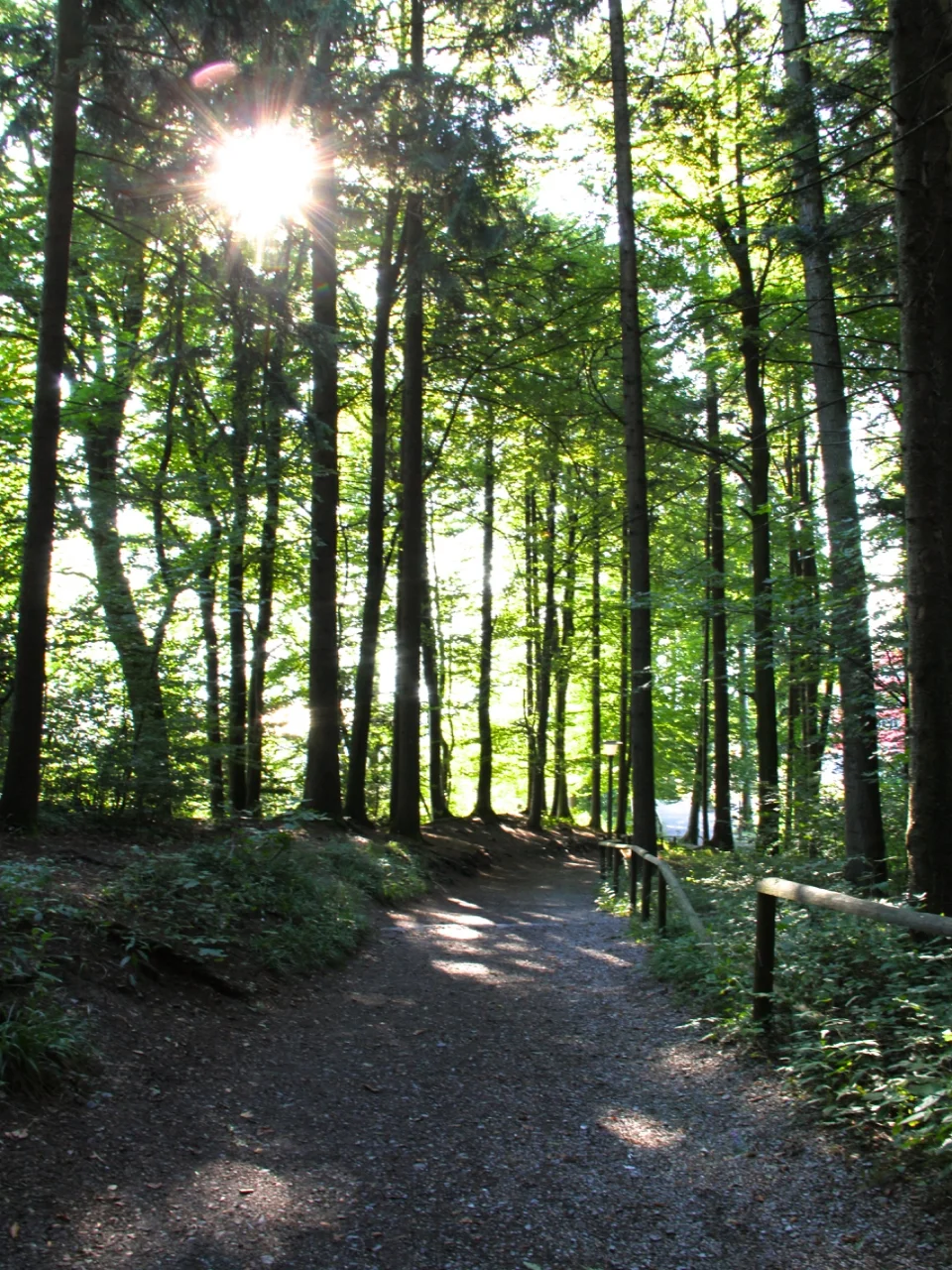 Felsenegg-Uetliberg: My First Hike in Switzerland — living minnaly